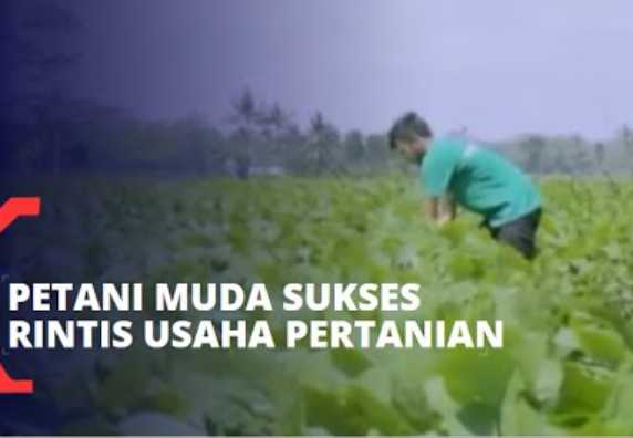 Peluang Usaha Pertanian yang Bisa di Kembangkan