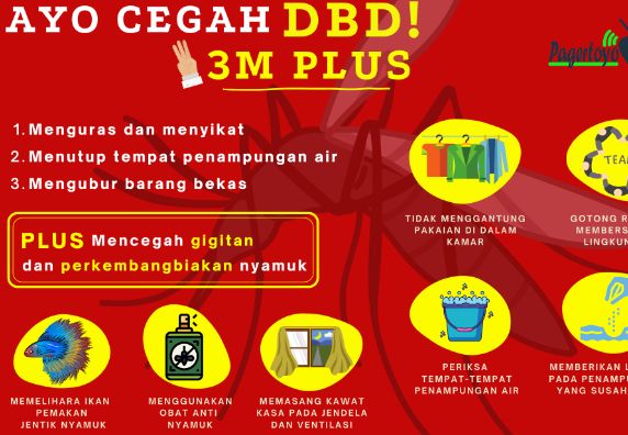 WASPADA DEMAM BERDARAH, YUK LAKUKAN PEMBERANTASAN SARANG NYAMUK DENGAN ...