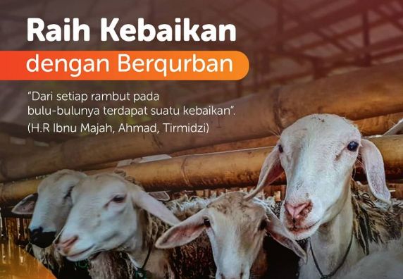 Keutamaan Berqurban di hari raya idul adha