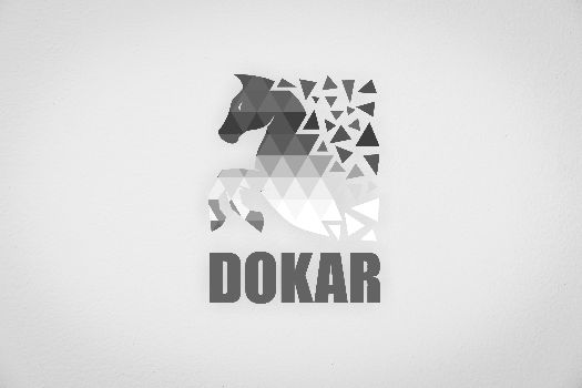 Sejarah Dokar-info